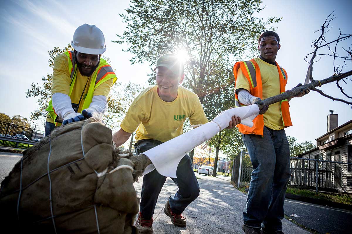 Living Lands & Waters helps Million Trees Project