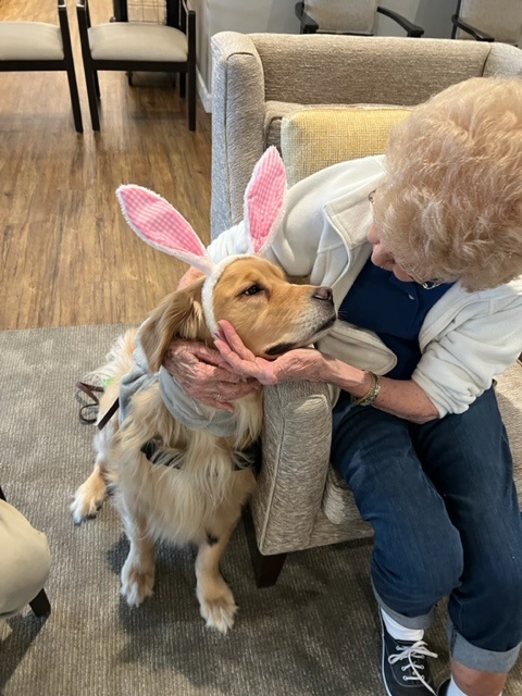 QC senior living facilities opening doors to pet owners