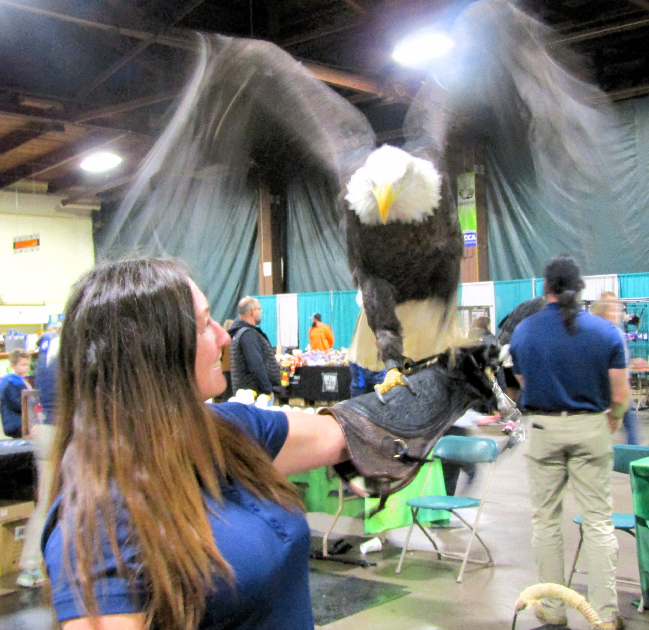 Animal attraction – QC Bald Eagle Days brings in big crowd