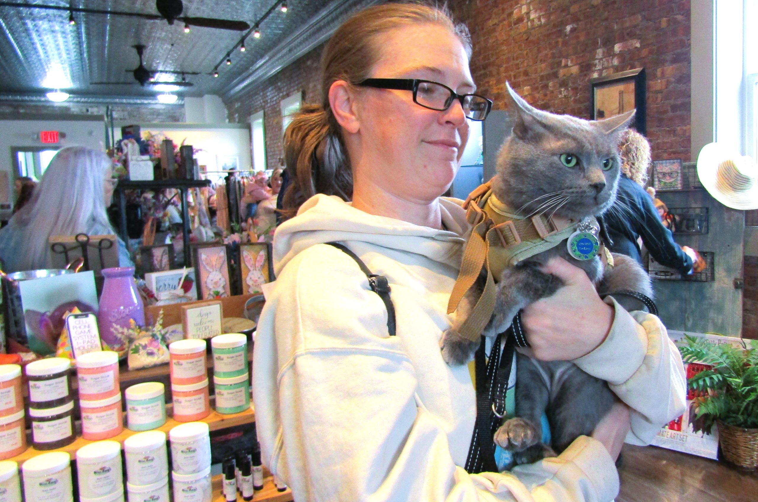 Rescued gets new home in its journey to save pets