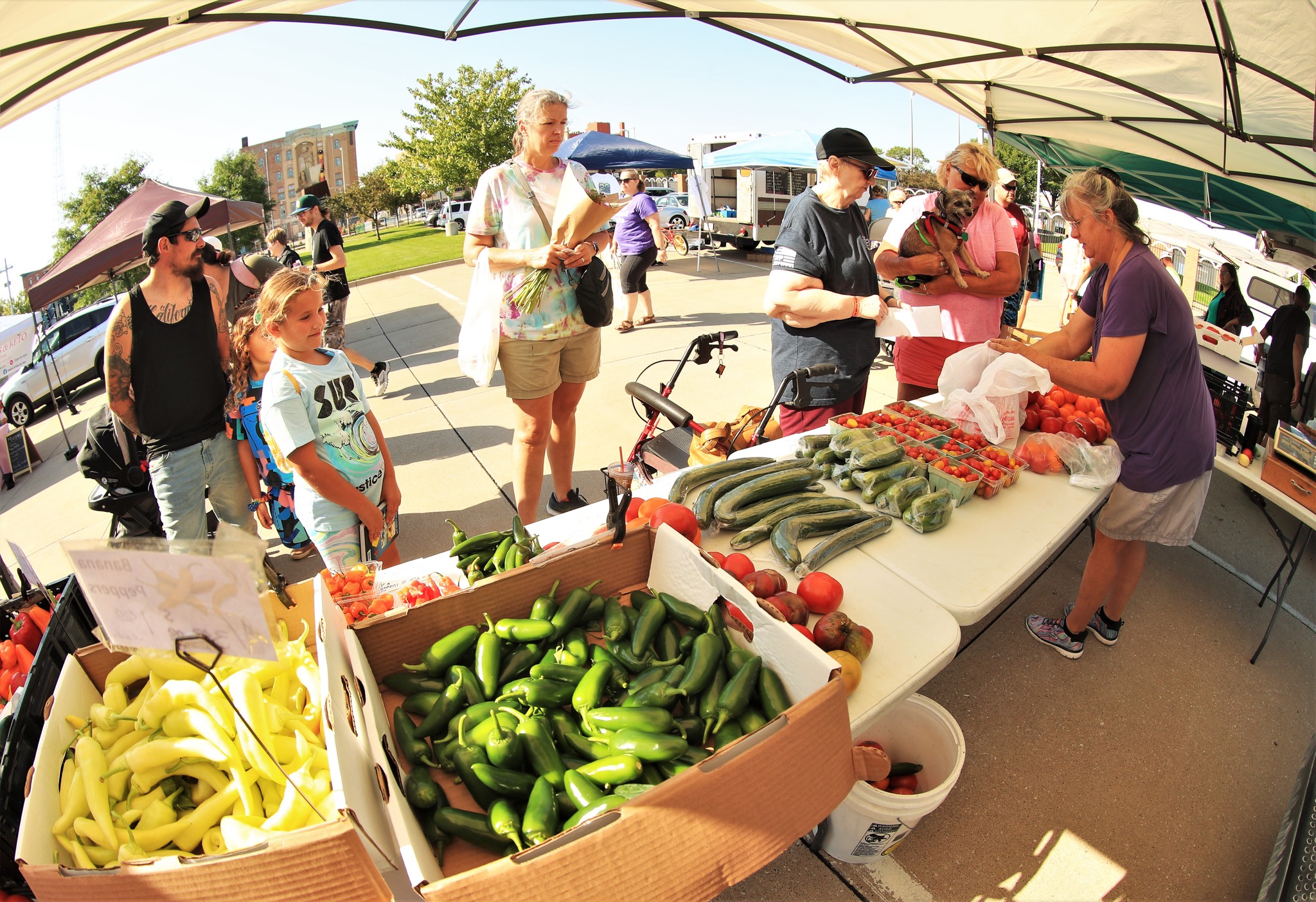 QC Farmers Market moving to Rock Island’s ‘festival street’